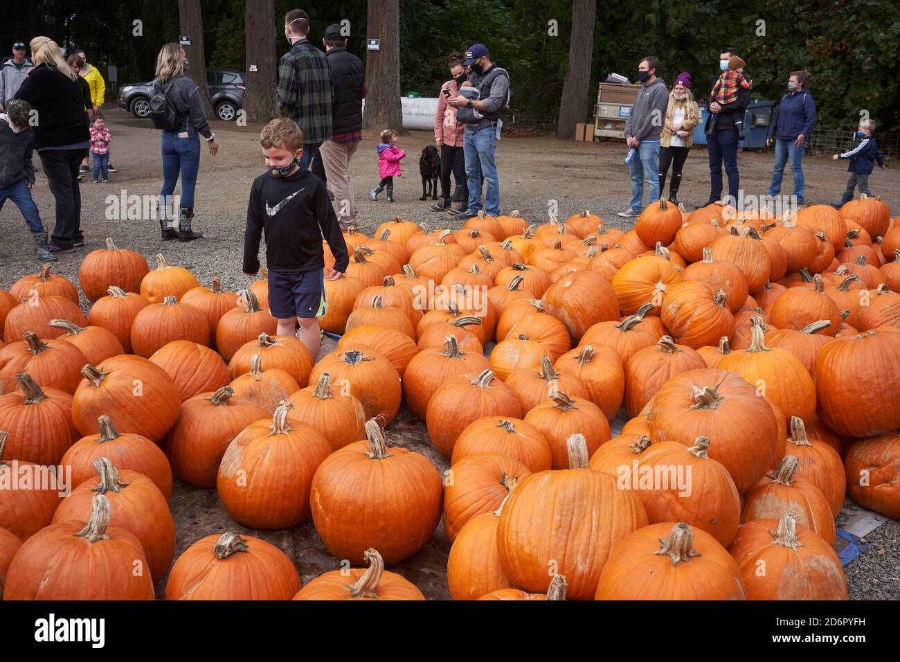 Kids Pumpkin Activity Hi Res Stock Photography And Images Alamy
