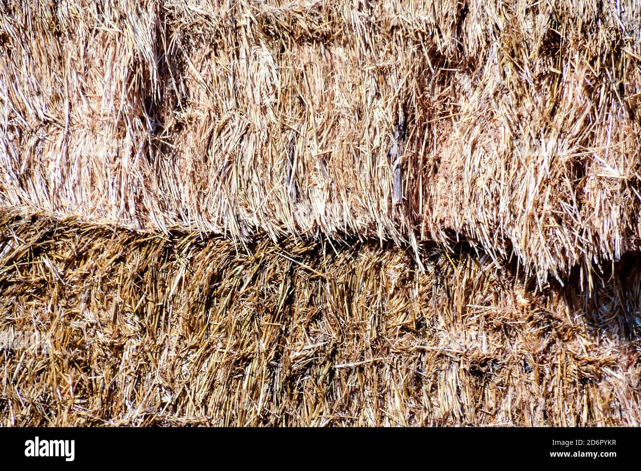 Background The natural texture of dry straw Stock Photo - Alamy