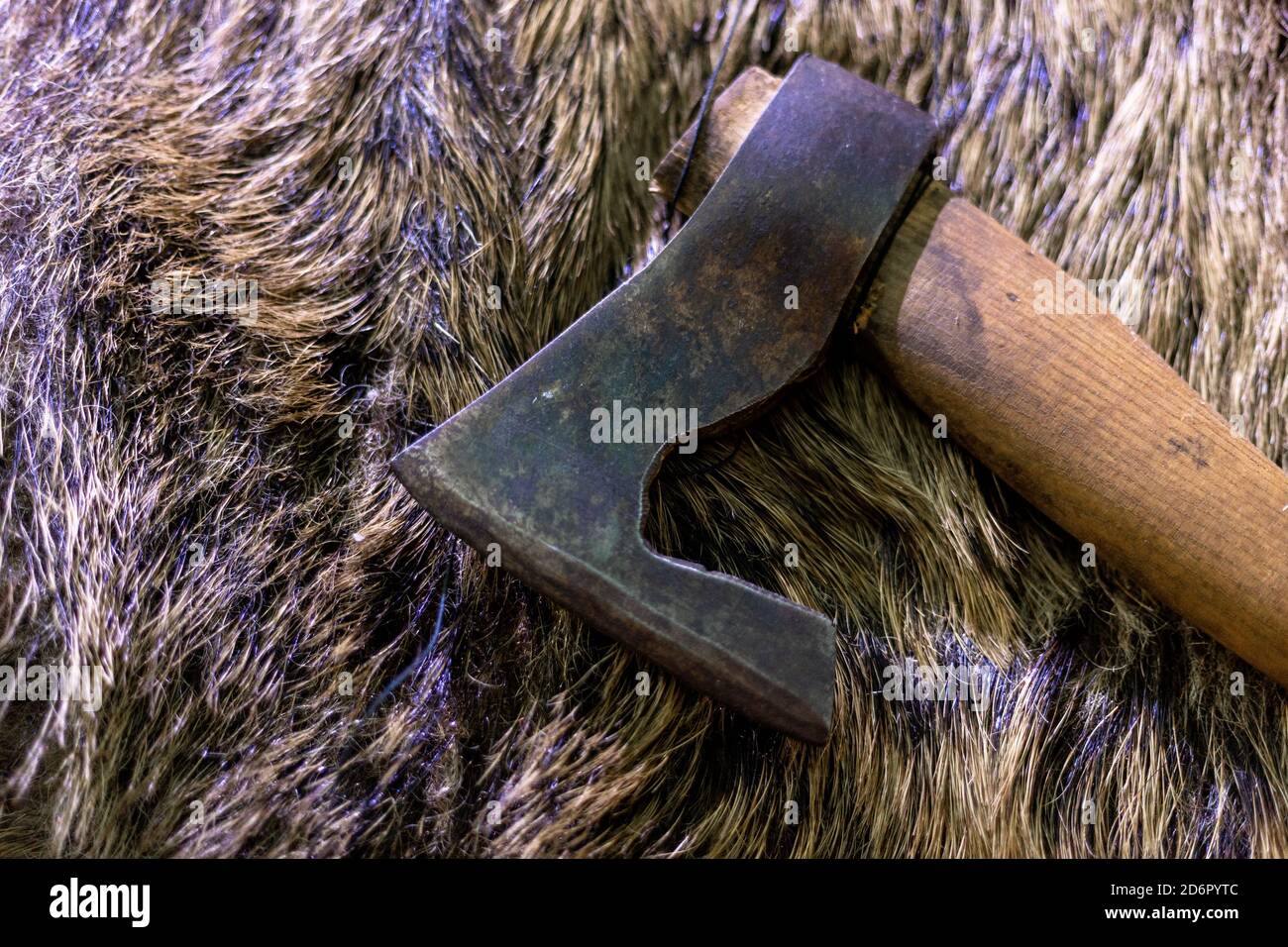 Wolf skin hi-res stock photography and images - Alamy
