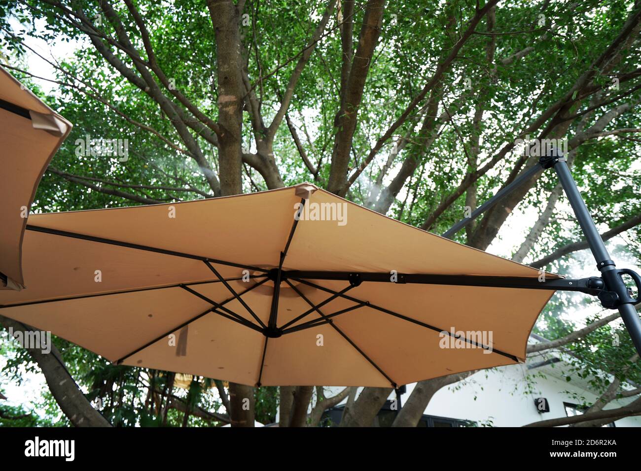 Outdoor Parasol umbrella under big green tree decorated in patio ...