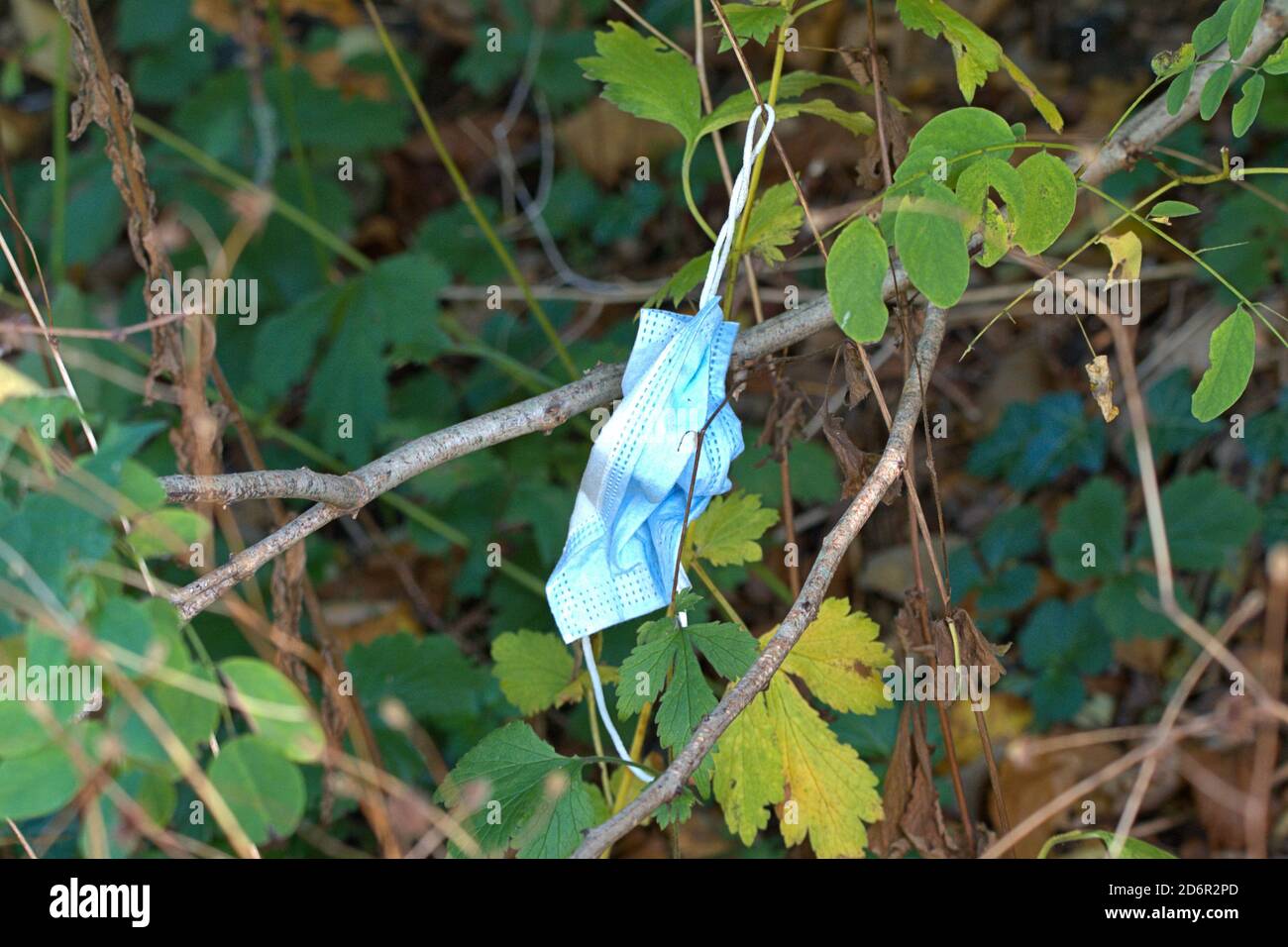 Marginal strip hi-res stock photography and images - Alamy
