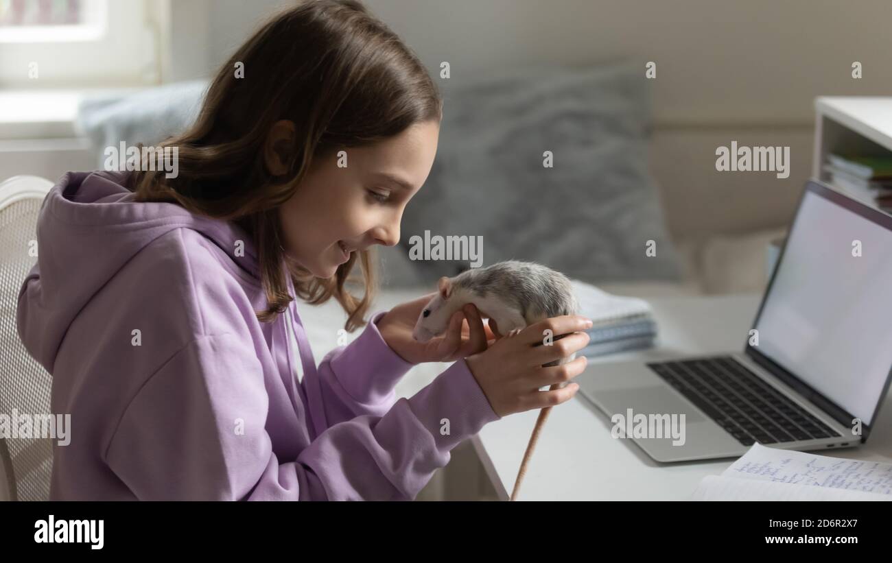 Loving teen girl play with domesticated mouse Stock Photo - Alamy