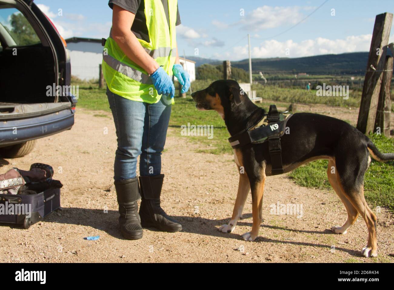 Police and people working together hi-res stock photography and images ...