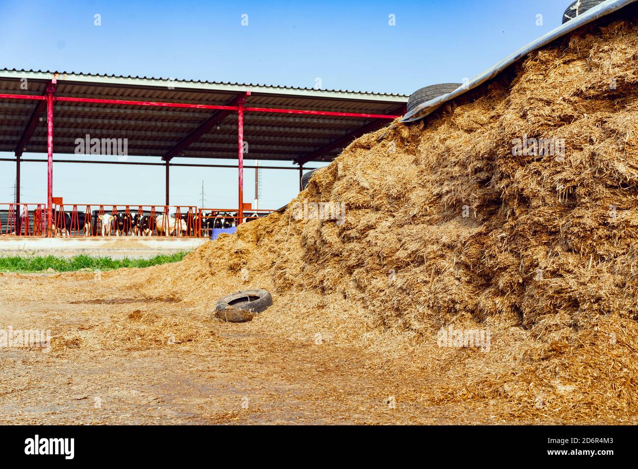 Large pile dry straw hi-res stock photography and images - Alamy