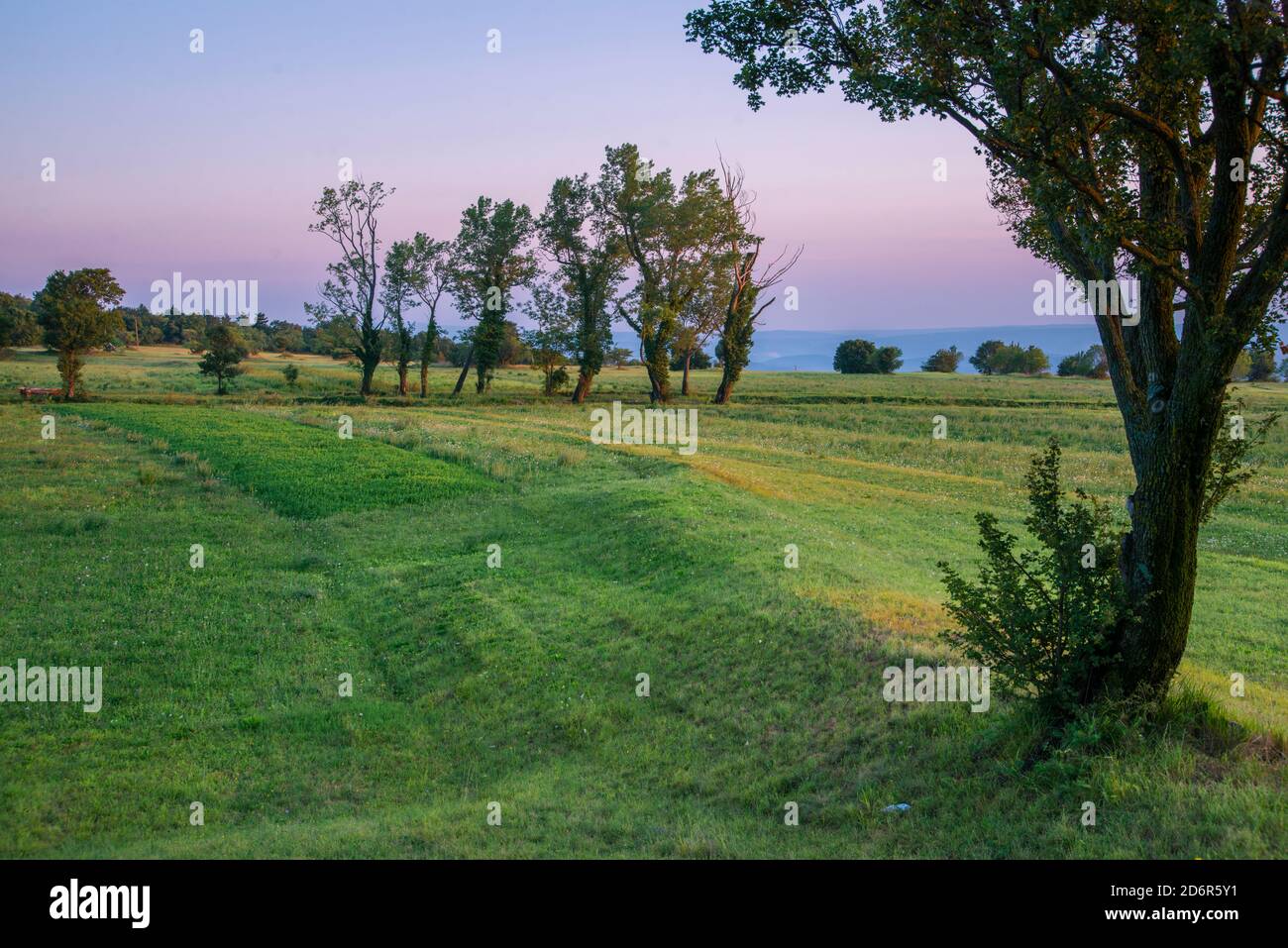 Agricultural landscape in Istria, Croatia, at nightfall Stock Photo - Alamy