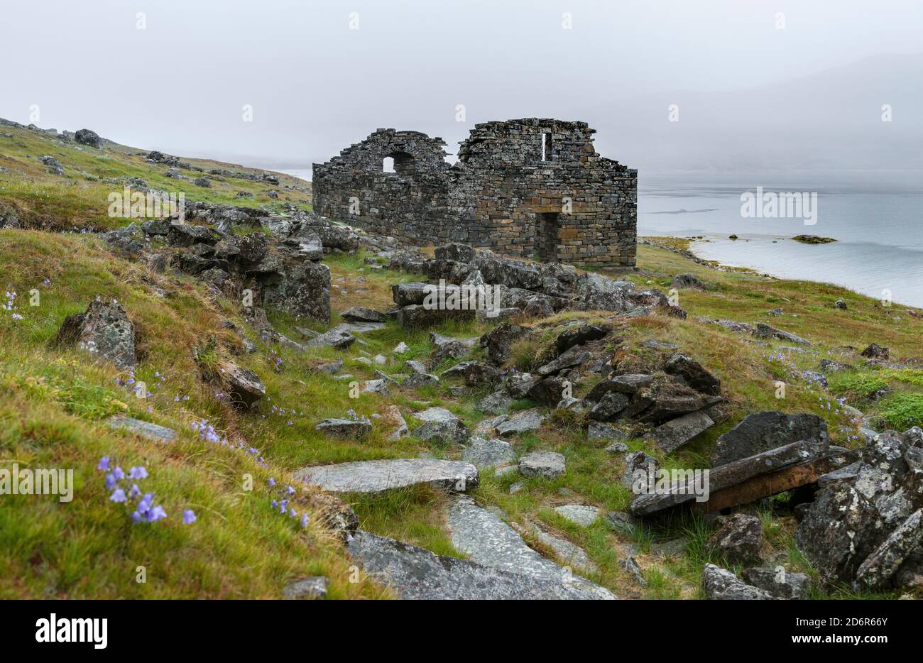 Ruins of the church. Hvalsey, a norse (viking) settlement in Greenland ...