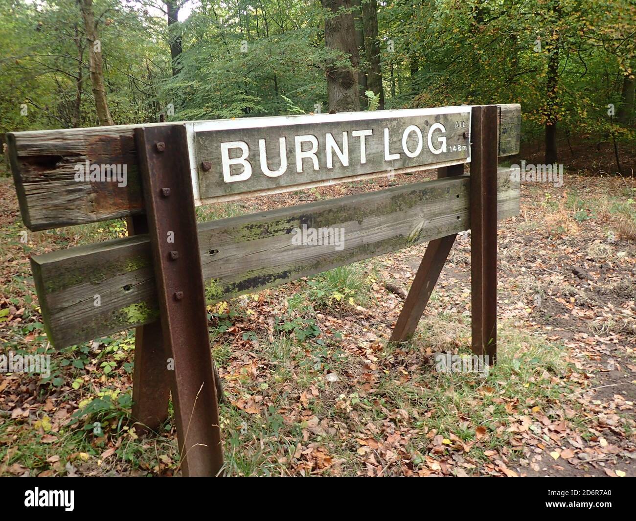 Burnt Log sign Forest of Dean Stock Photo - Alamy