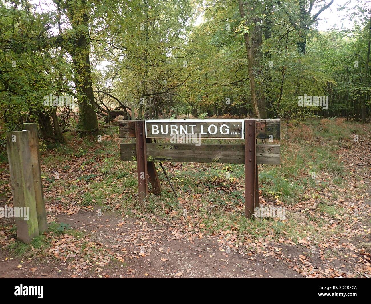 Cycling in the new forest hi-res stock photography and images - Alamy