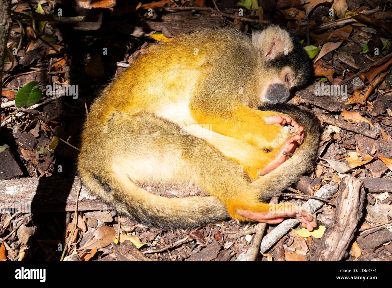 Nap route hi-res stock photography and images - Alamy