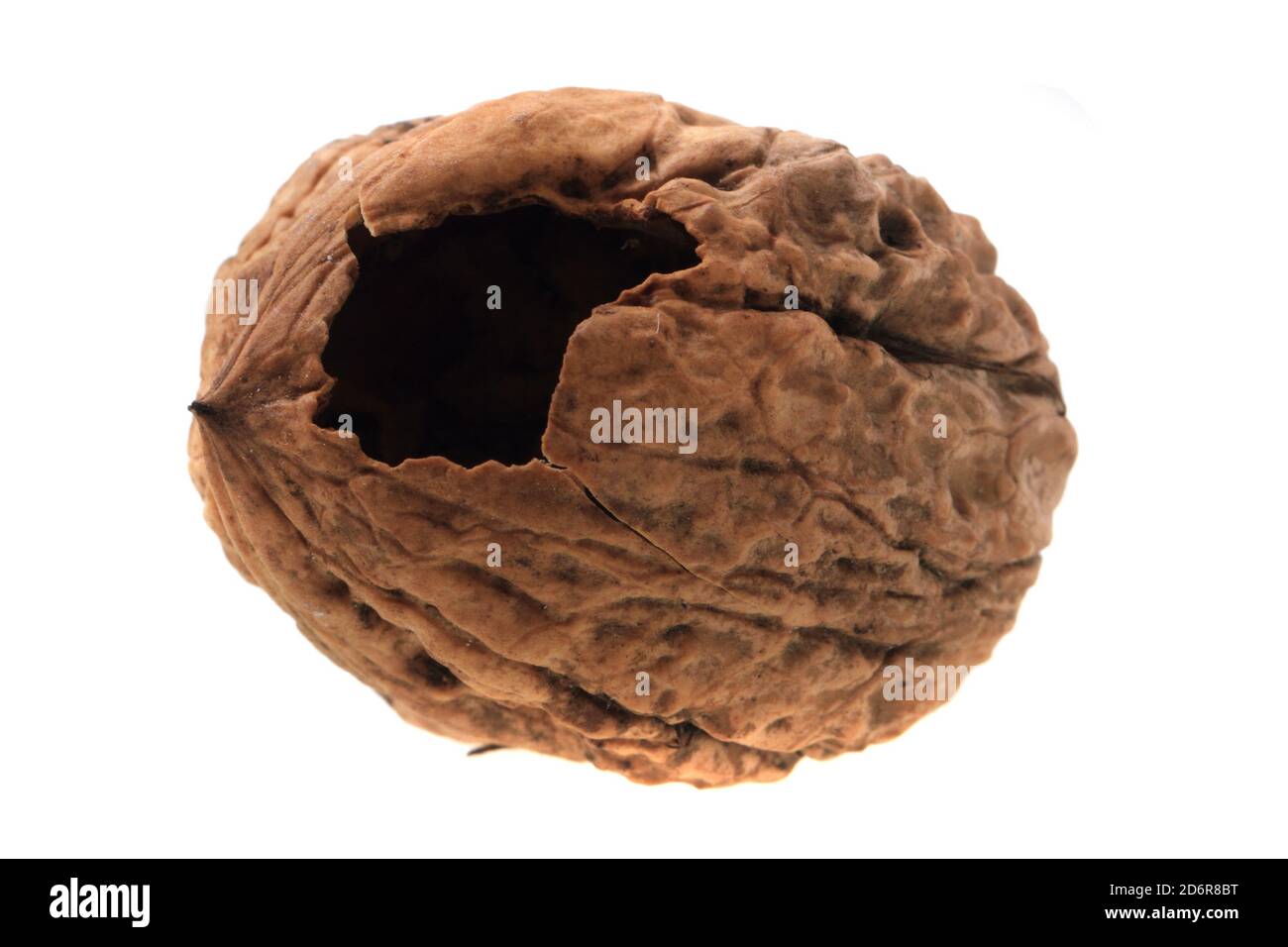damaged walnut isolated on the white background Stock Photo - Alamy