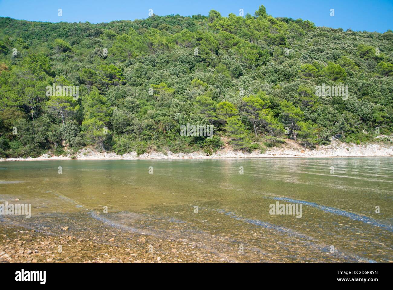 Bay Duga Luka in Istria peninsula, beach, Adriatic Sea, Croatia Stock ...