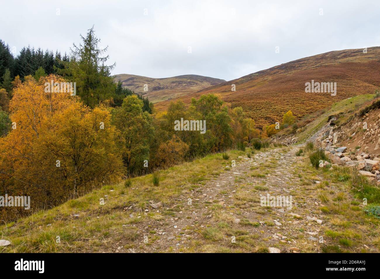 Walker heading up the approach path to the munro mountain of Carn Gorm ...