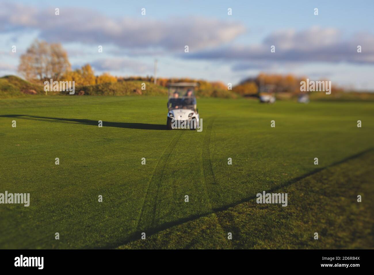 Golf electric cars riding on a golf course in the day, golf carts drive ...
