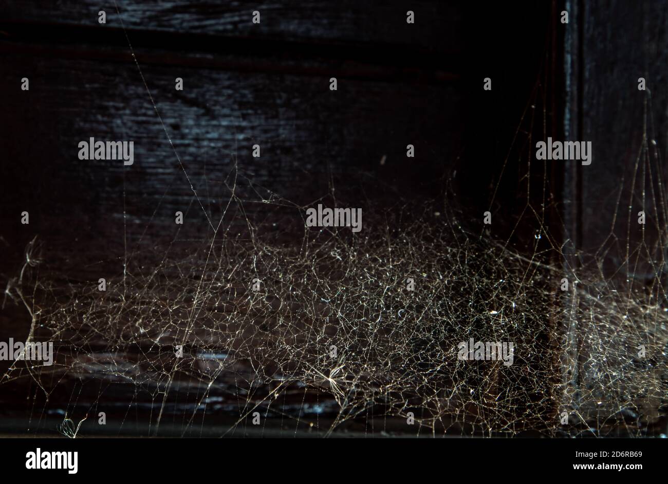 Spider woven web in wall of ancient thai house, Abstract Spiderweb on ...