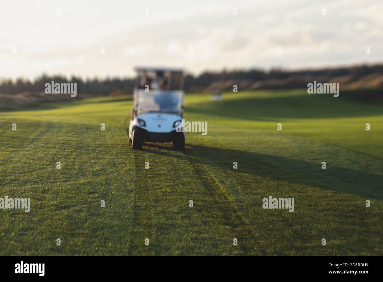 Golf electric cars riding on a golf course in the day, golf carts drive ...