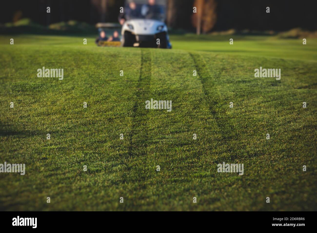 Golf electric cars riding on a golf course in the day, golf carts drive ...