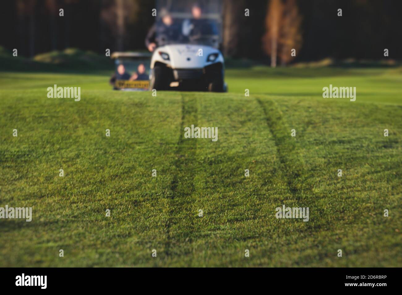 Golf electric cars riding on a golf course in the day, golf carts drive ...