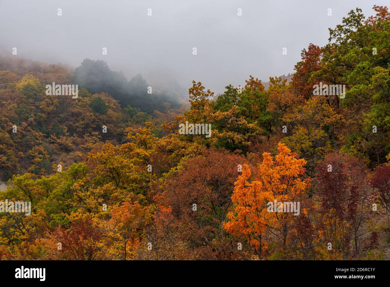 Sad Autumn Season Wallpaper