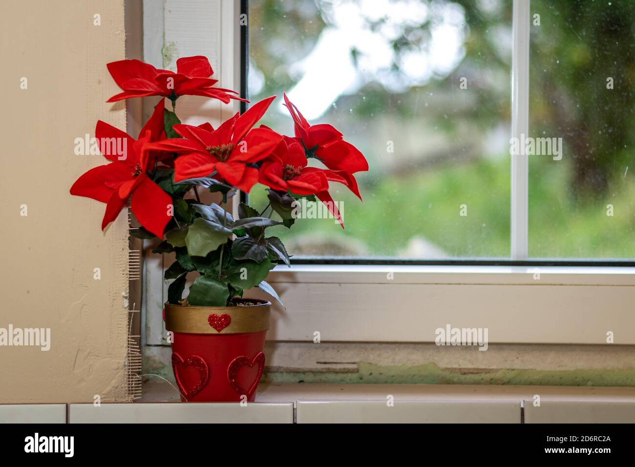 Red plastic flower in the kitchen window Stock Photo - Alamy