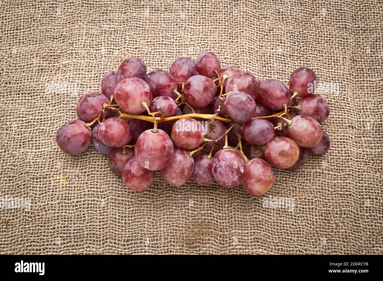 The grape is the common name given to the fruits formed in the clusters ...