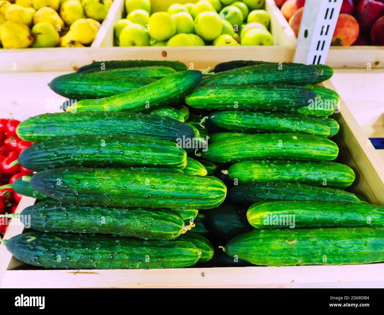 Green bumpy cucumbers are neatly stacked in a drawer on the counter ...