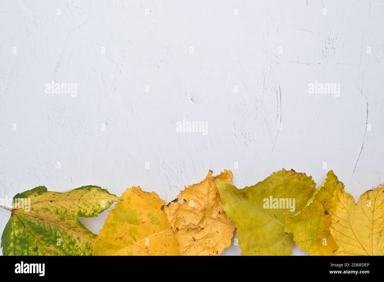 Autumn leaves is one of the four seasons of the year in temperate zones ...