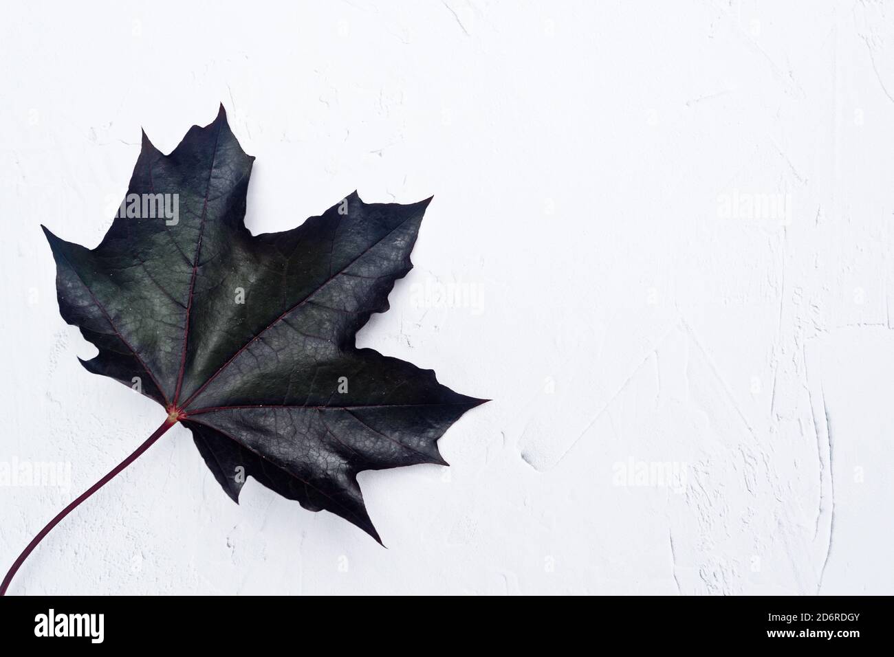 One of the four temperate seasons hi-res stock photography and images ...