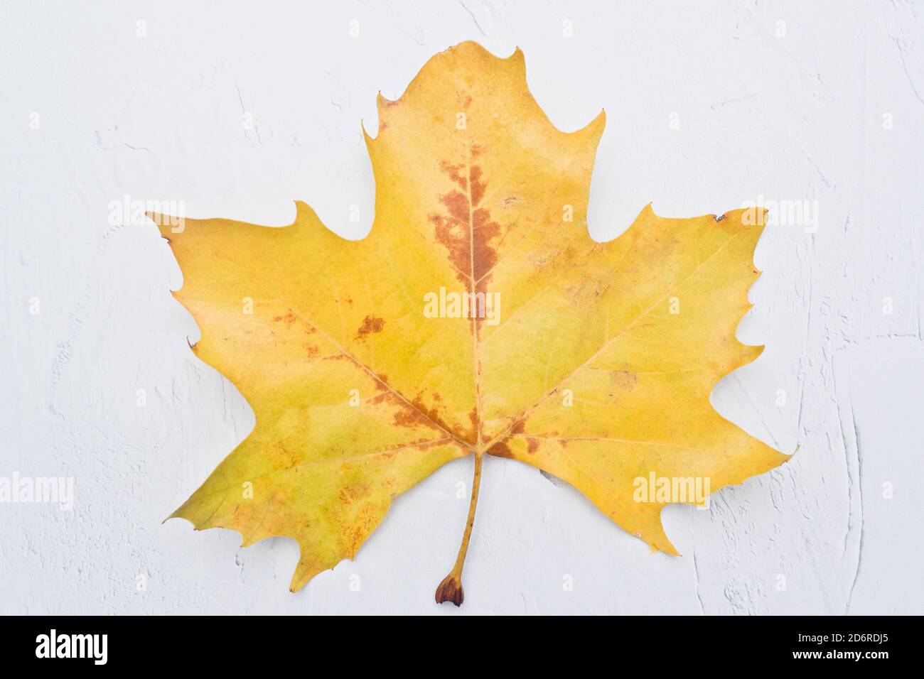 One of the four temperate seasons hi-res stock photography and images ...