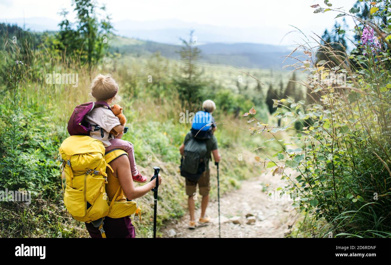 Rear view of family with small children hiking outdoors in summer ...