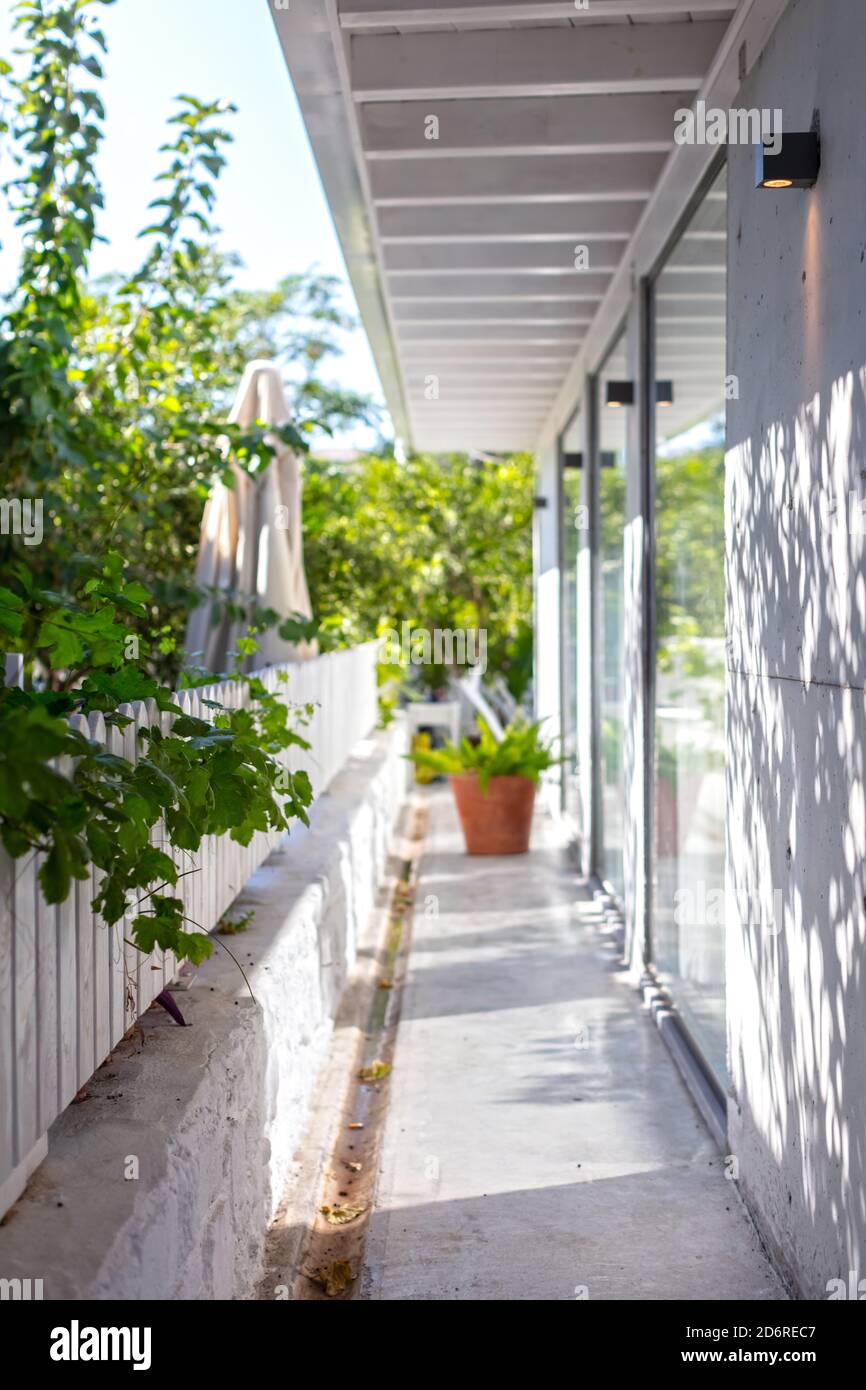 Outdoor Empty Corridor with Garden in the Modern Office Stock Photo - Alamy