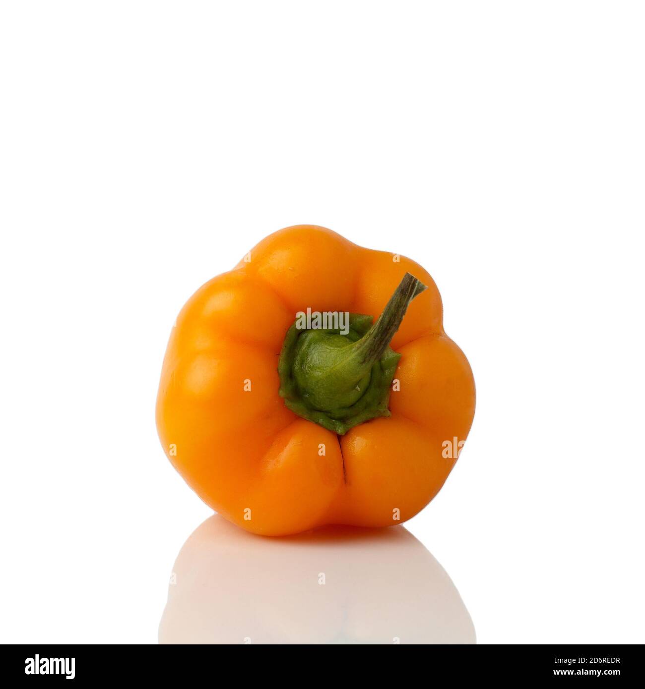 Bell pepper (sweet, capsicum, paprika) isolated on white background ...