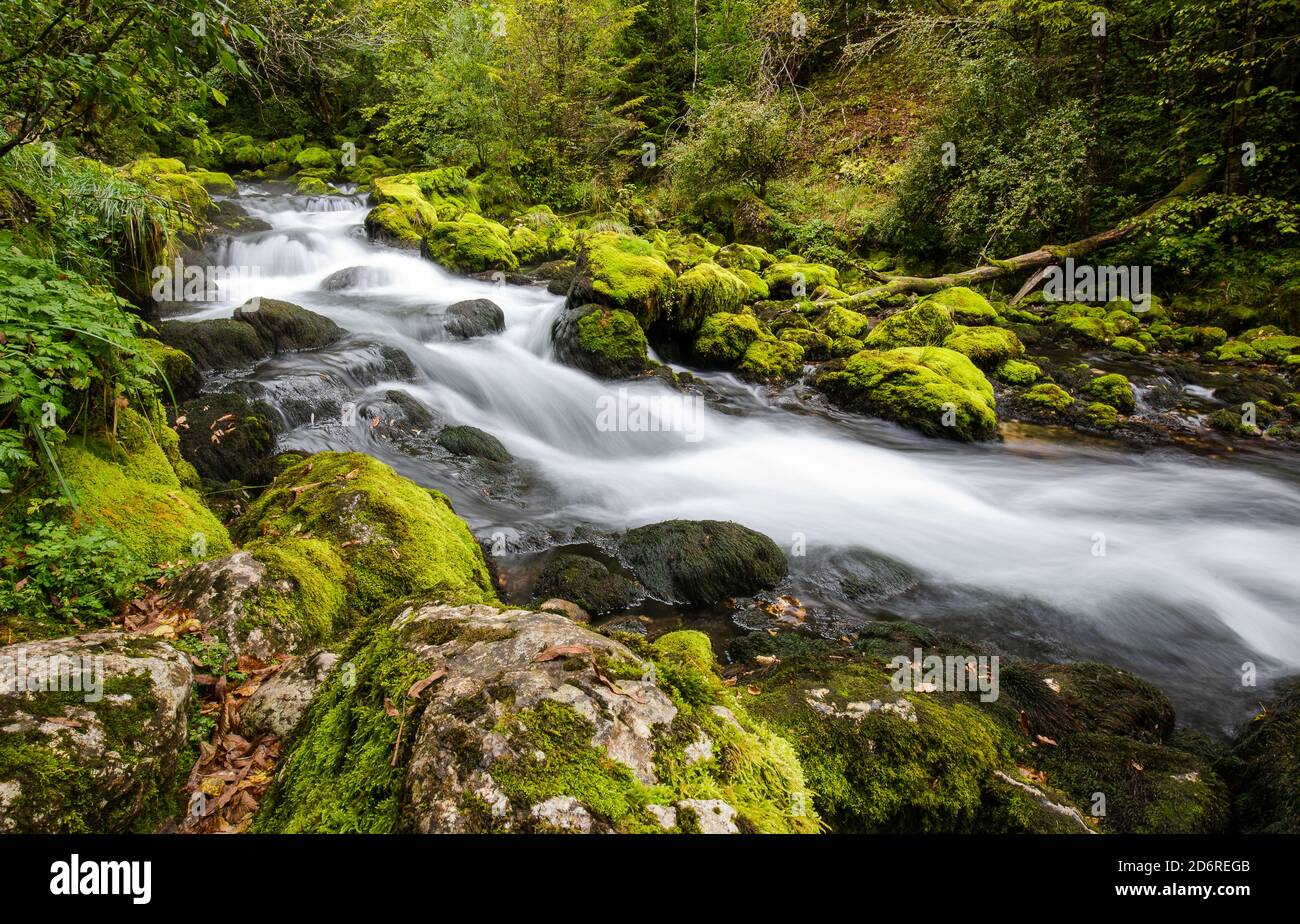 Mystic pearl hi-res stock photography and images - Alamy