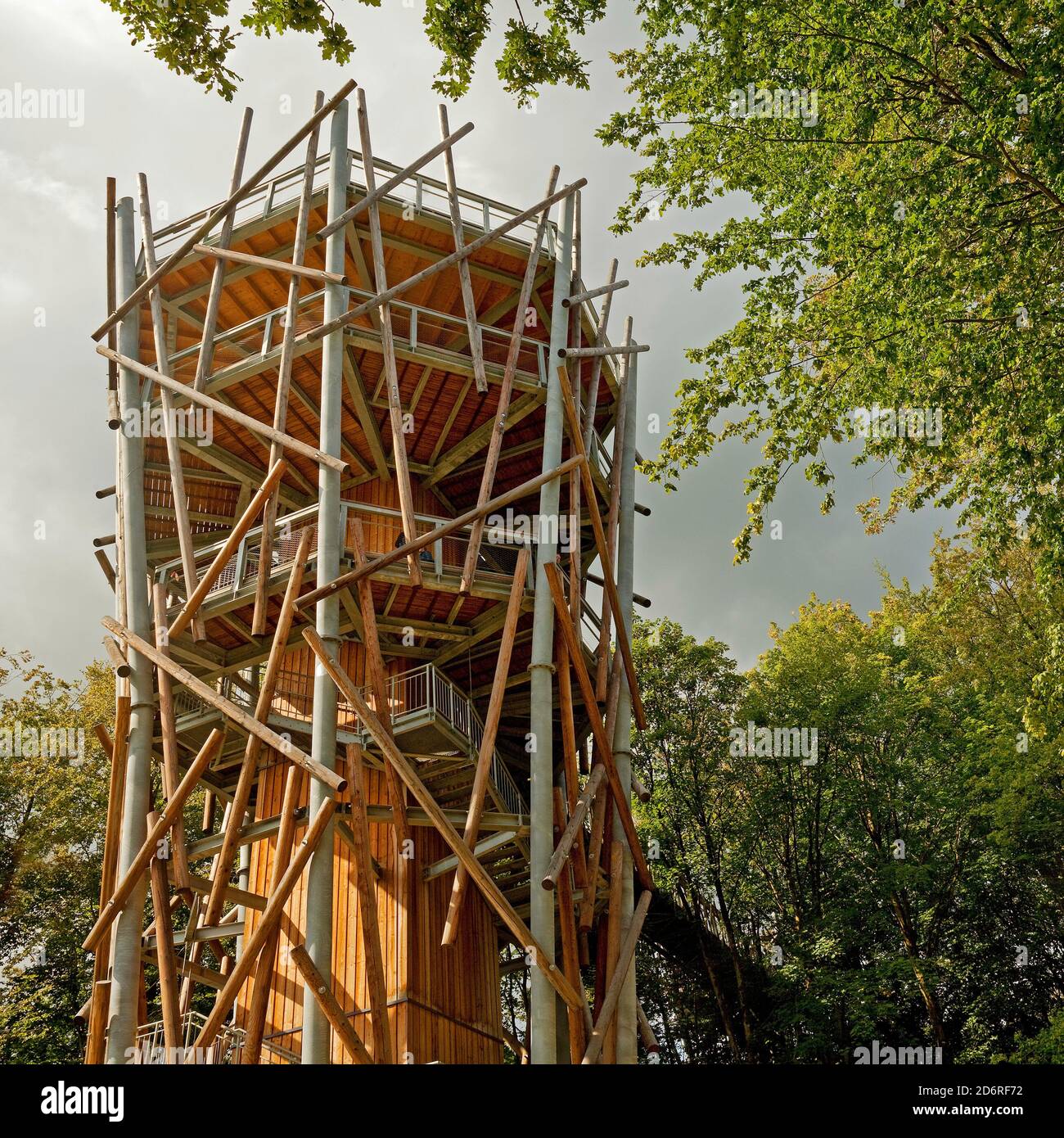 Canopy tower hi-res stock photography and images - Alamy