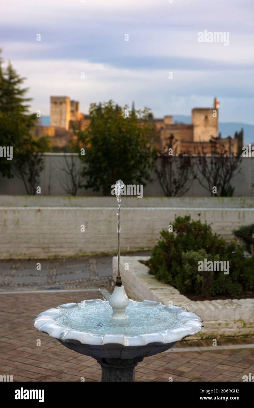 The gardens of the Mezquita Mayor de Granada (The Great Mosque of ...