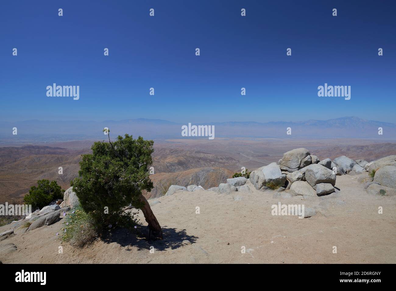 Joshua tree keys view hi-res stock photography and images - Alamy