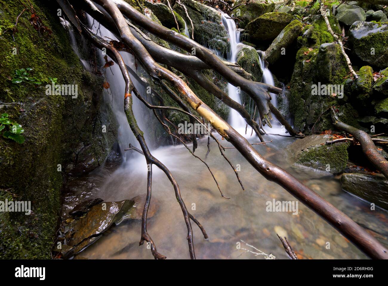 River in Sansanet forest, Aspe Valley, Pyrenees in France Stock Photo ...