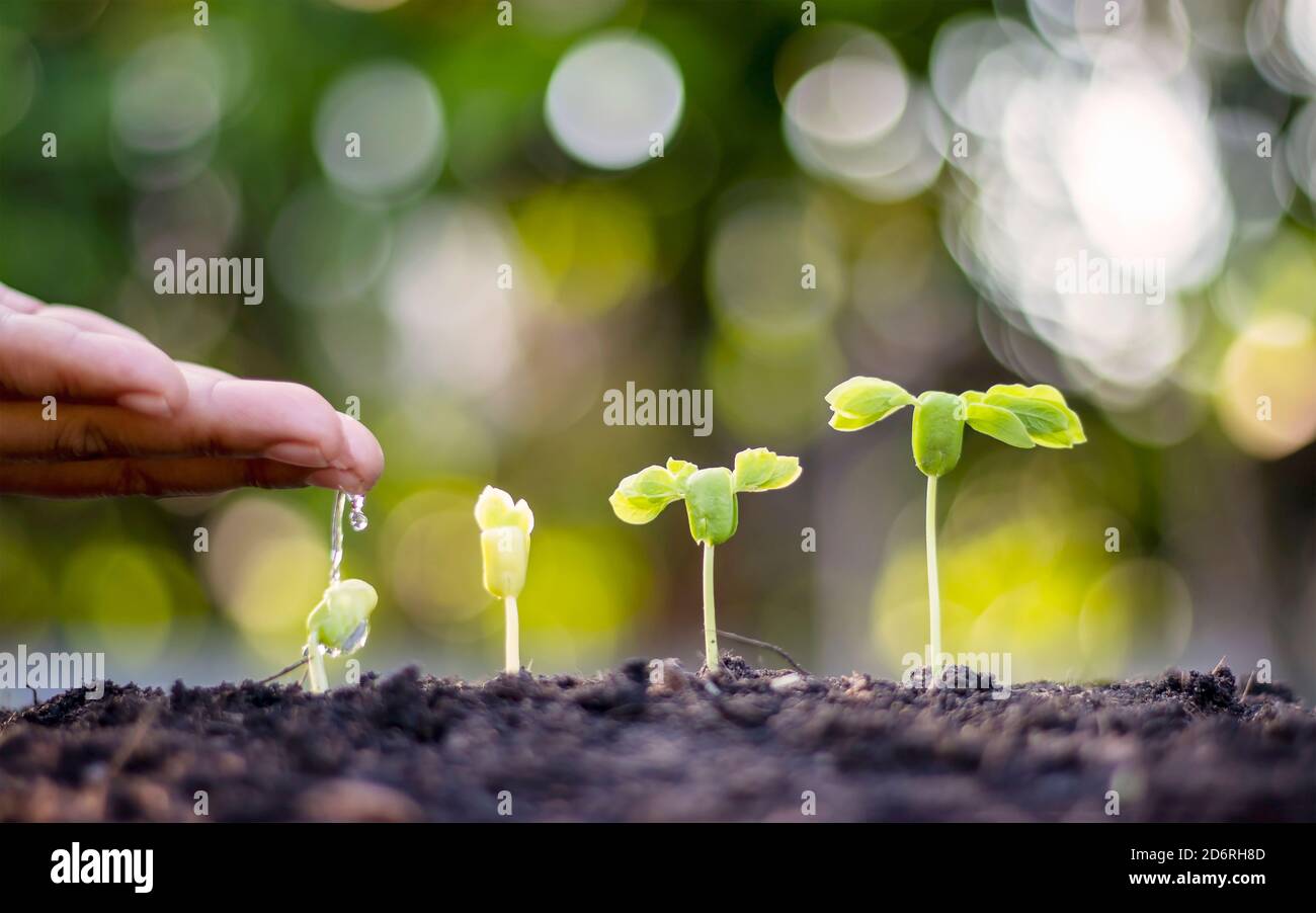 Agriculture and environment hi-res stock photography and images - Alamy