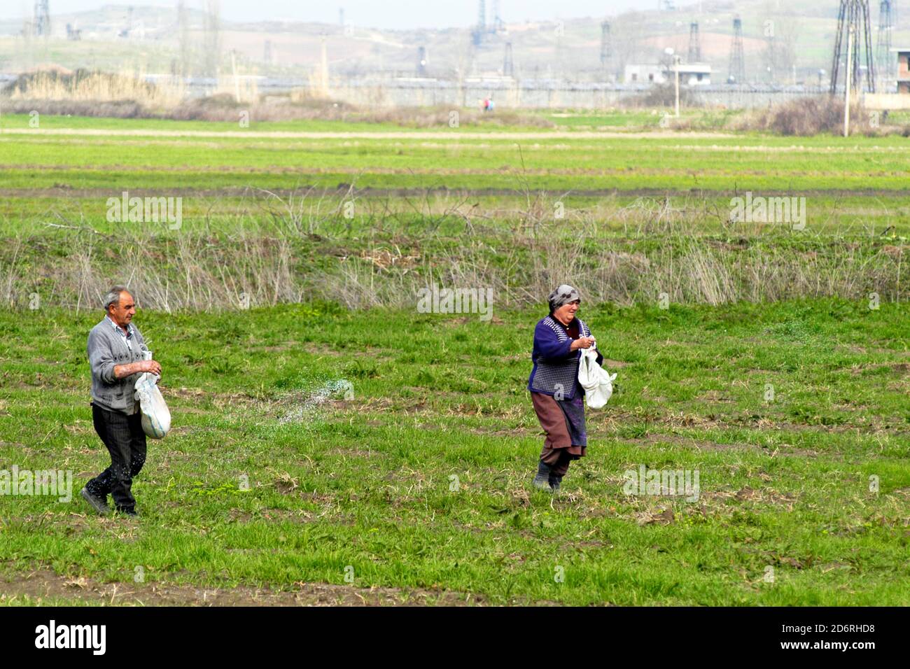 Farmers planting seed, Tirana, Albania Stock Photo - Alamy