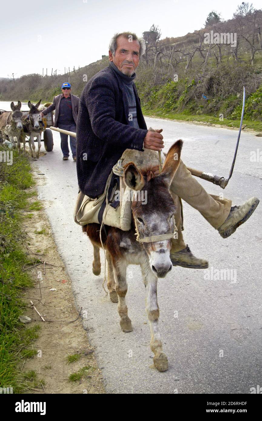 Albanian farmer on donkey, Albania Stock Photo - Alamy