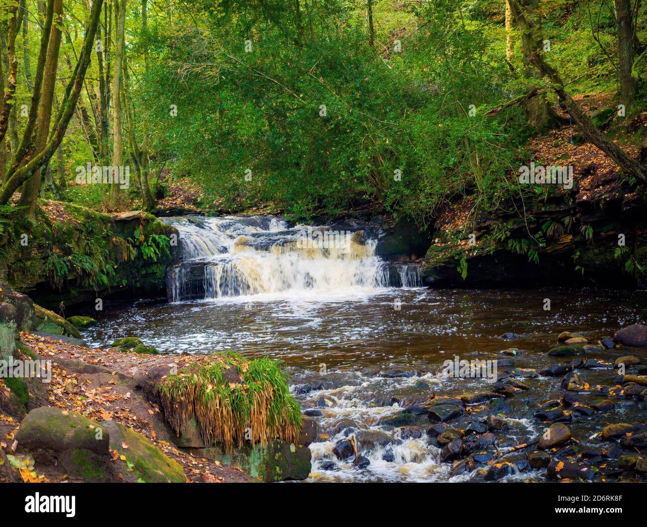 Stoney creek waterfall hi-res stock photography and images - Alamy