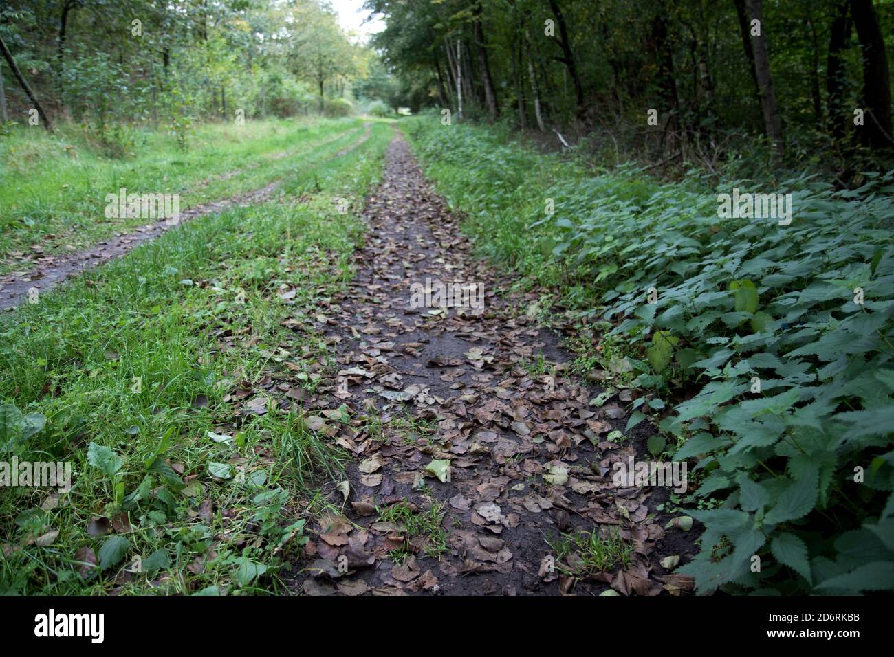 Shot tiny path in hi-res stock photography and images - Alamy
