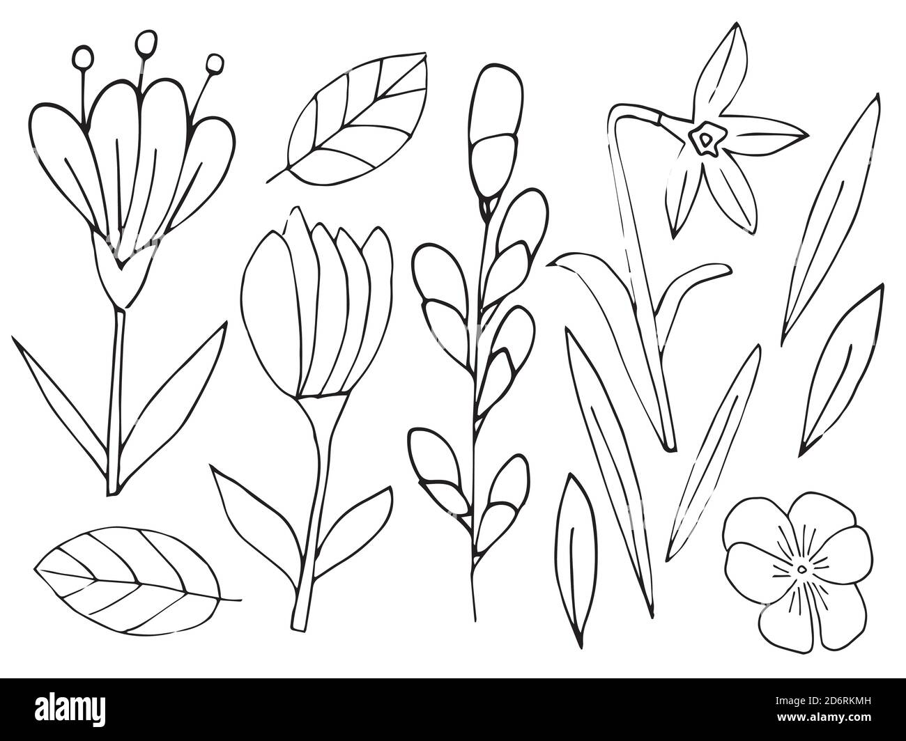 Set of vector flowers, line art. Botanical floral design.Elements for ...