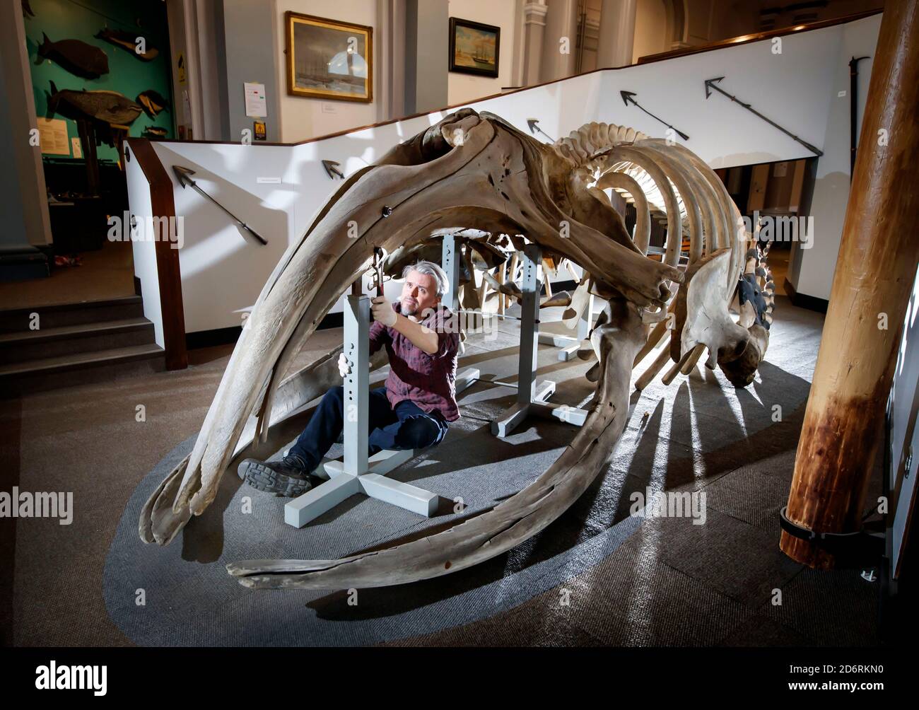 Skeleton Of A Hull High Resolution Stock Photography and Images - Alamy