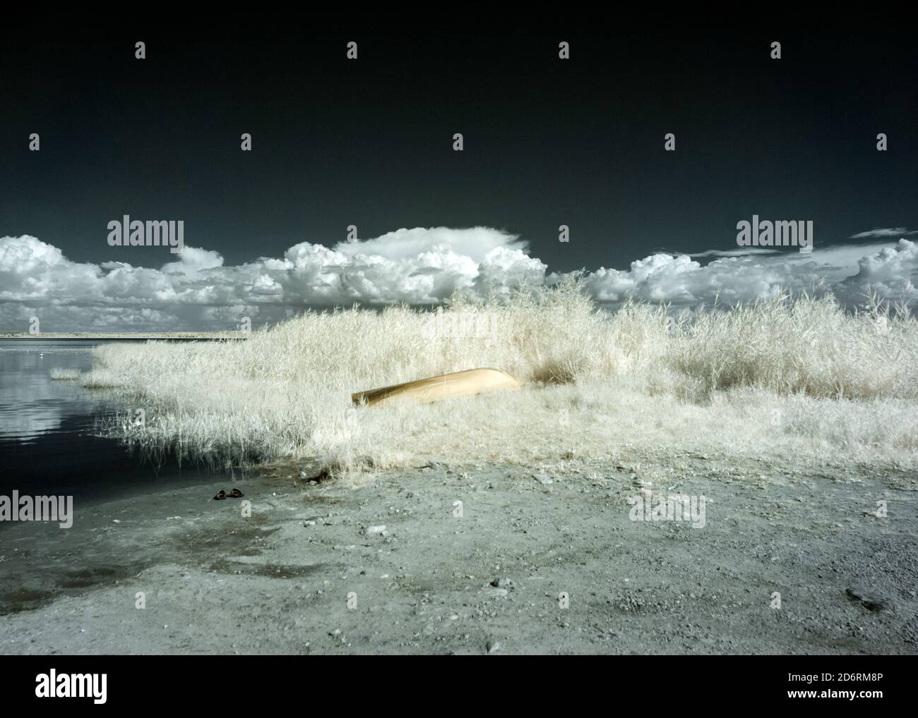 sunny summer landscape, infrared photo snowy tree amazing nature lake ...