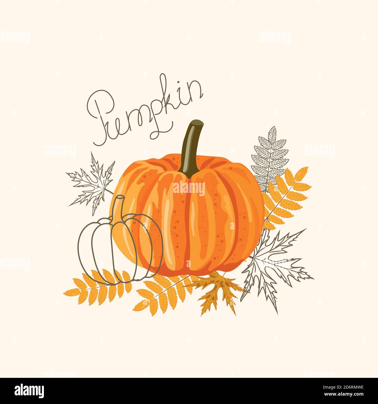 Colorful autumn composition pumpkin Stock Vector Images - Alamy