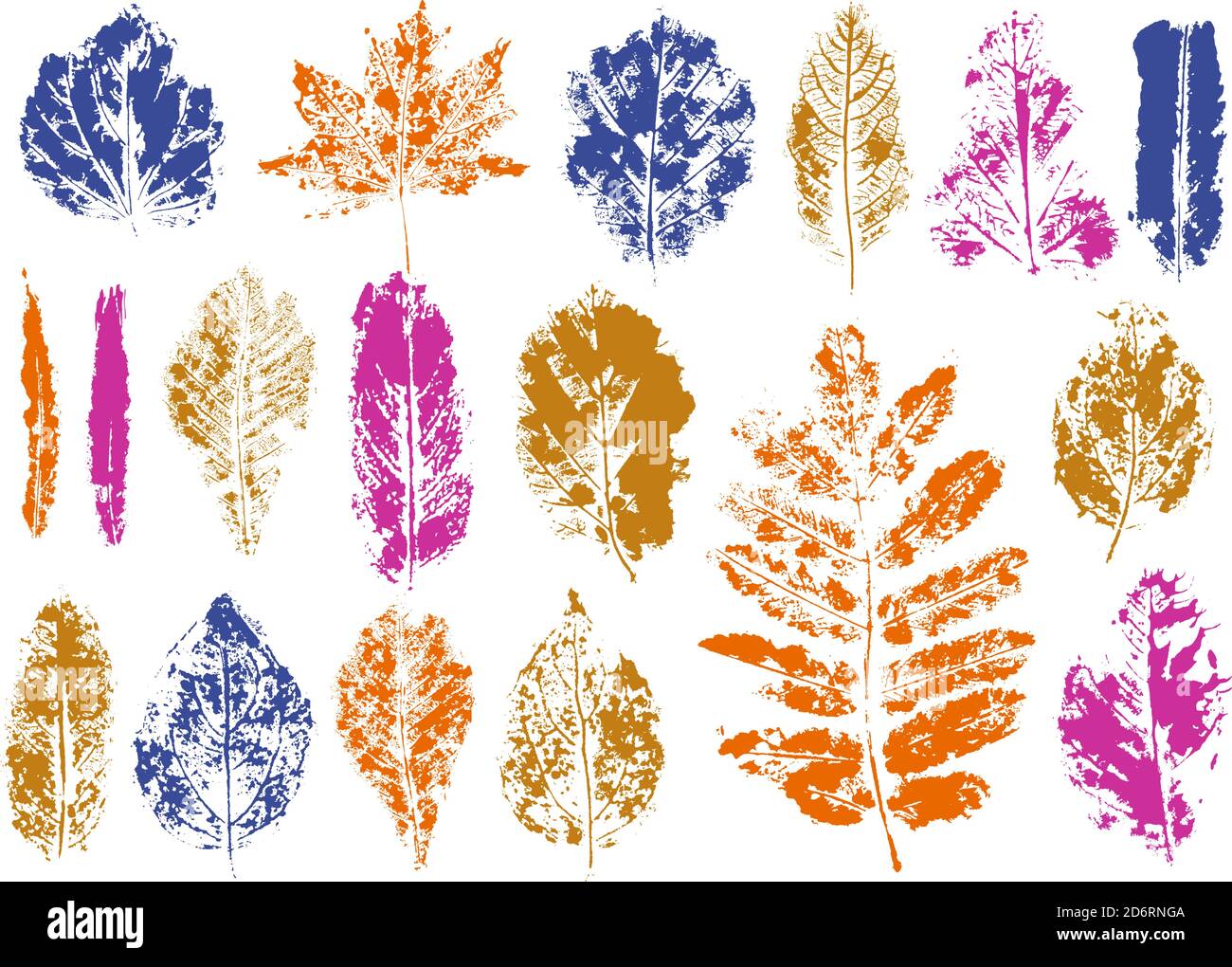 Set leaf plant print monotype in isolated white background. Botanical ...