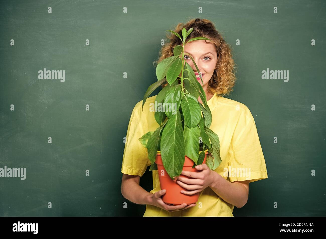 volunteer. tree of knowledge. school learning ecology. environmental ...