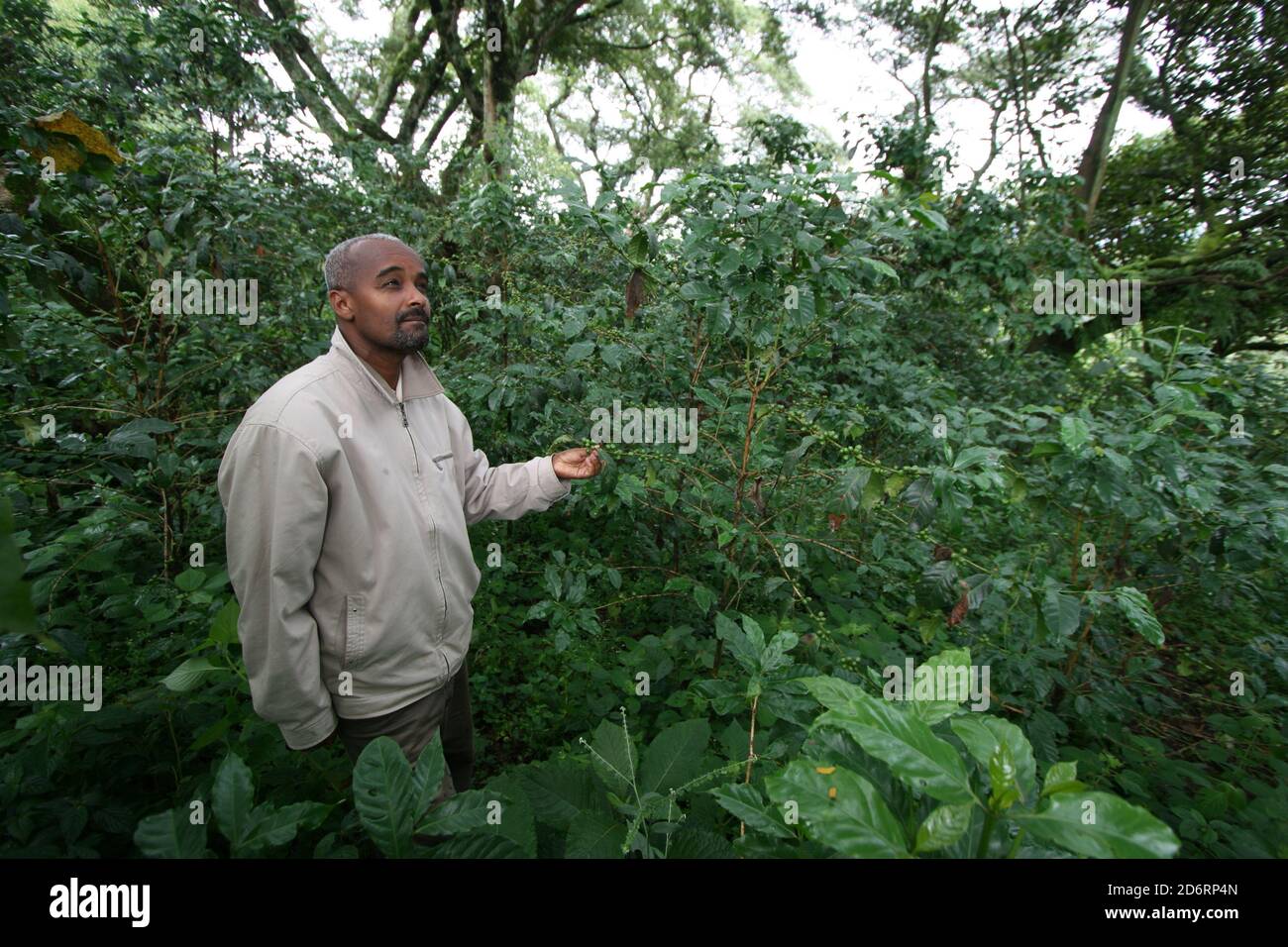 Ethiopias hi-res stock photography and images - Alamy