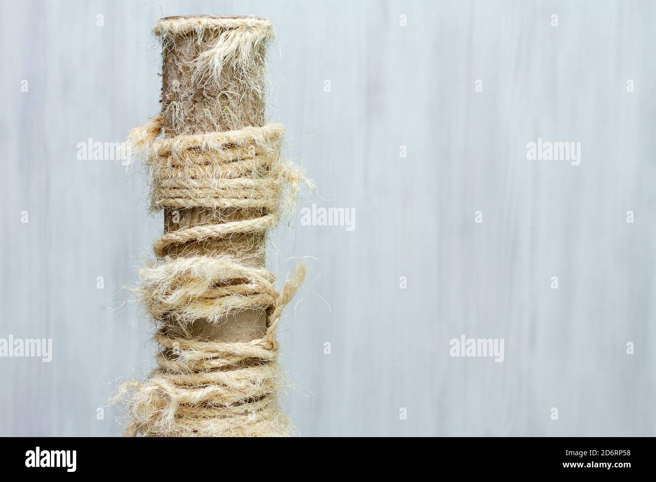 Old cat tree, used scratching post. Copy space Stock Photo - Alamy