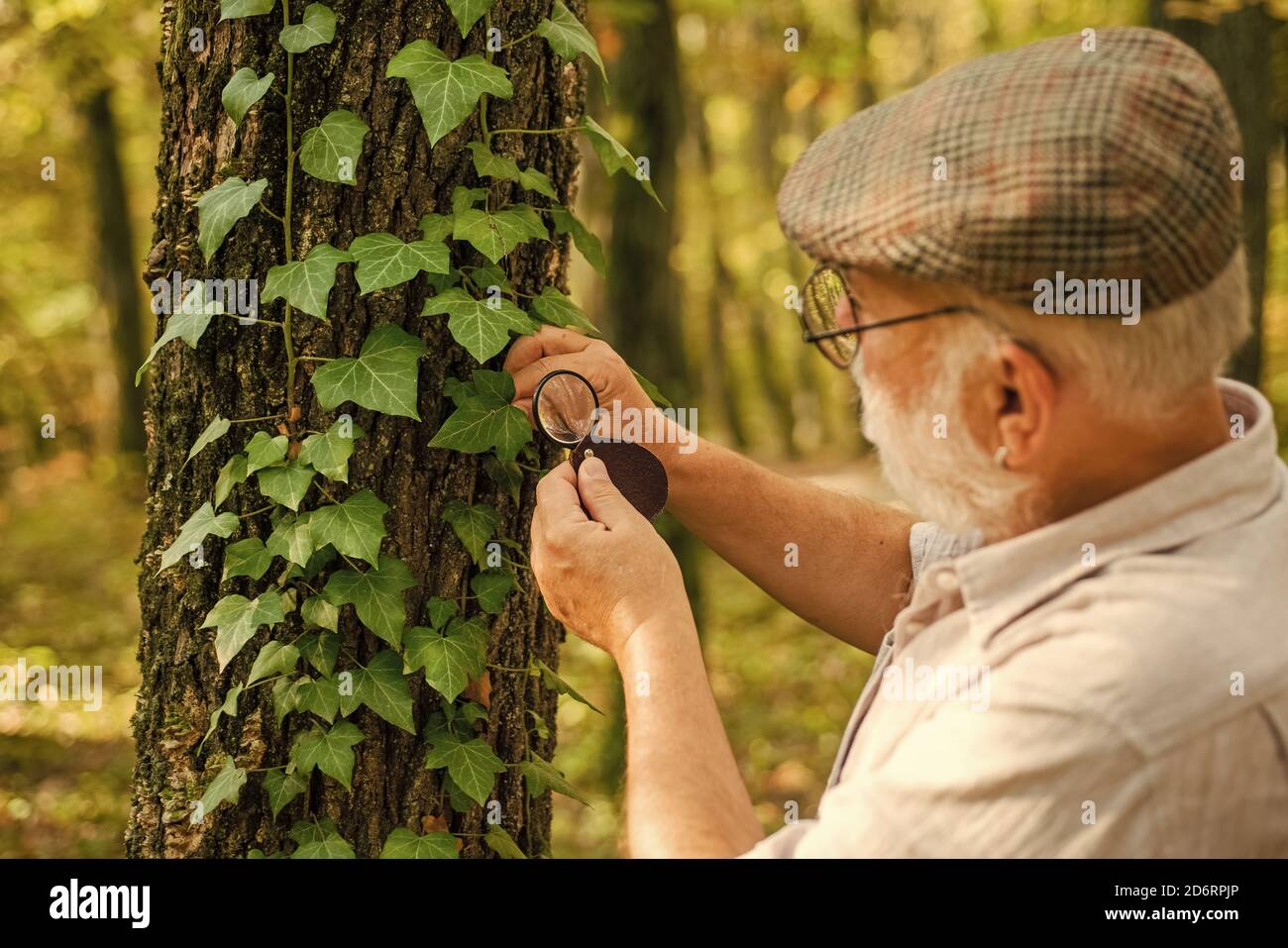 Picky detective in forest. Explore nature. Pensioner with magnifier ...
